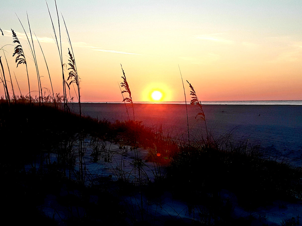 My Inspiration – Eden Shell